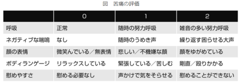 お知らせ・ブログ｜重度認知症患者の客観的苦痛評価法について｜ちくさ病院の在宅医療